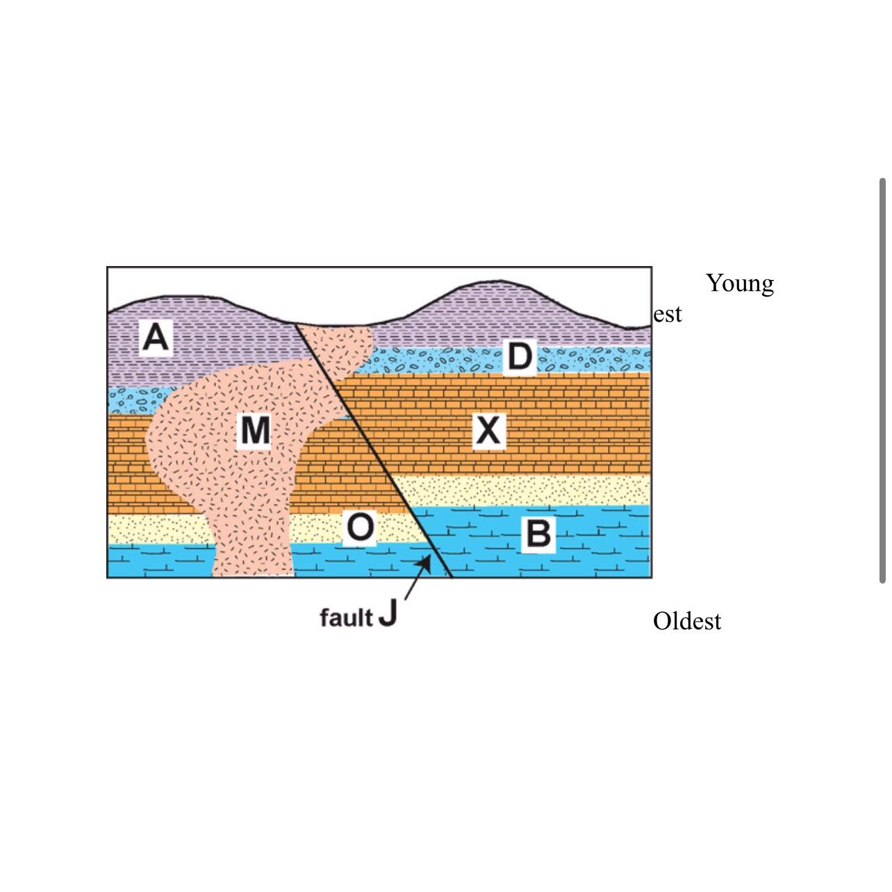 Solved |Label youngest to oldest | Chegg.com