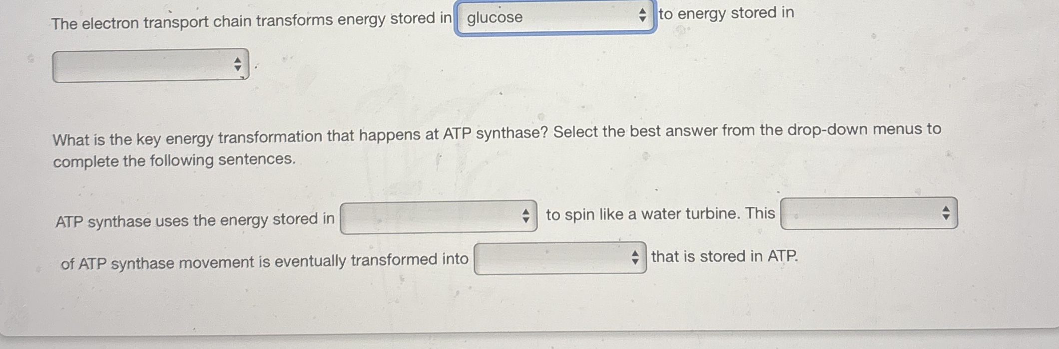Solved The electron transport chain transforms energy stored | Chegg.com