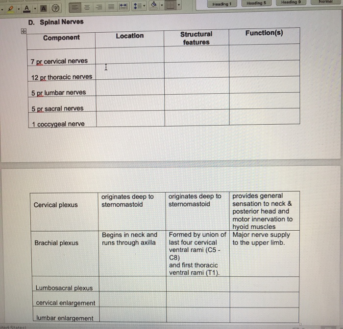 Solved Normal Heading 1 Heading Heading 9 D. Spinal Nerves | Chegg.com
