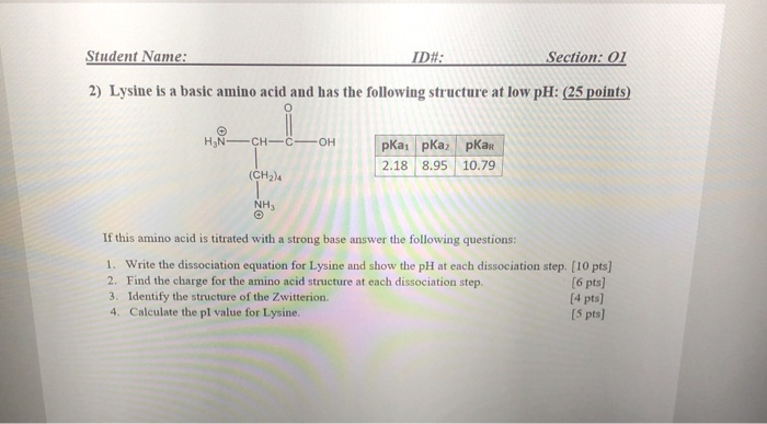 Solved Student Name: ID#: Section: 01 2) Lysine is a basic | Chegg.com
