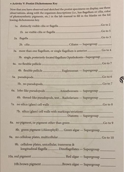 - Activity V: Protist Dichotomous Key Now that you | Chegg.com