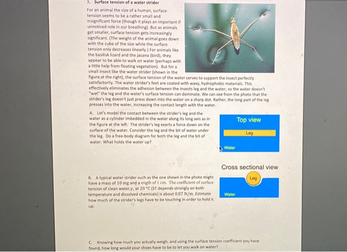 Solved 3. Surface tension of a water strider For an animal | Chegg.com