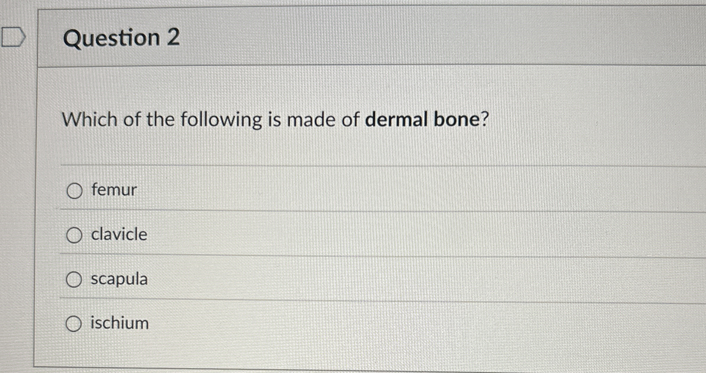 Solved Question 2Which of the following is made of dermal | Chegg.com
