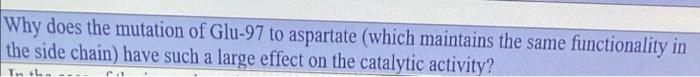 Solved Why does the mutation of Glu-97 to aspartate (which | Chegg.com