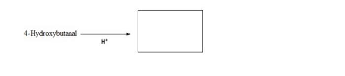 Solved 4-Hydroxybutanal H | Chegg.com