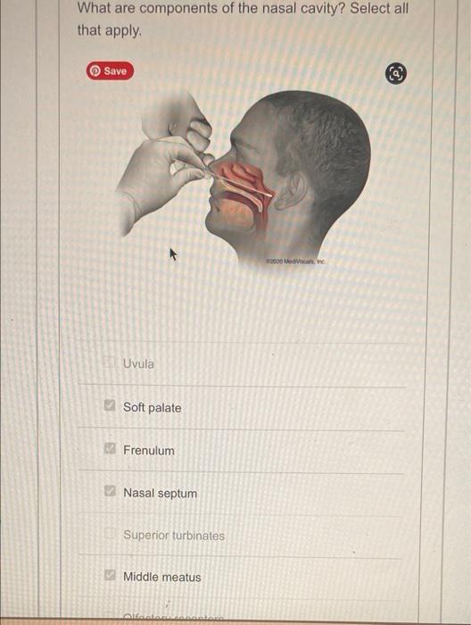 Solved orrect Question 24 What are the components of the | Chegg.com