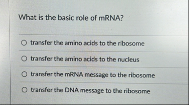 Solved What is the basic role of mRNA?transfer the amino | Chegg.com