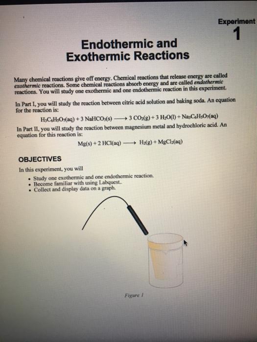 Exothermic Reaction Experiments