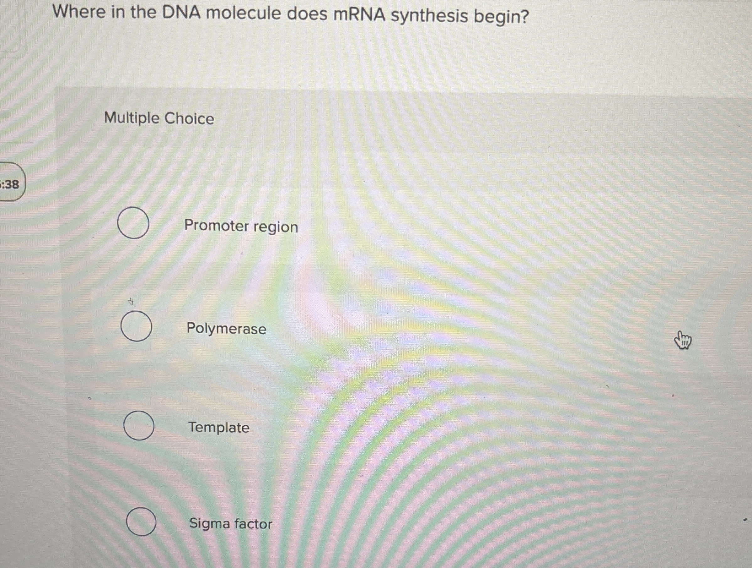 Solved Where in the DNA molecule does mRNA synthesis | Chegg.com