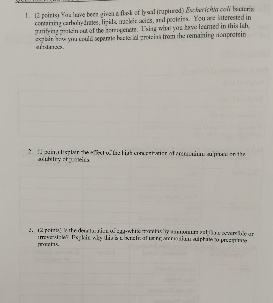 Solved 1. (2 points) You have been given a flask of lysed | Chegg.com