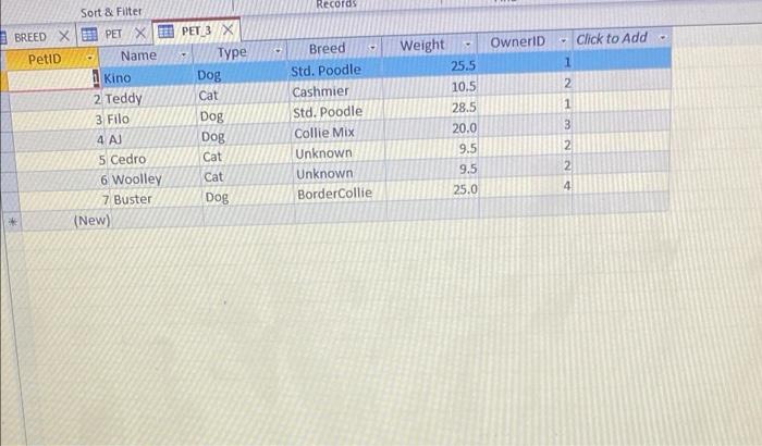 Solved Download the Pets database file from moodle: View | Chegg.com