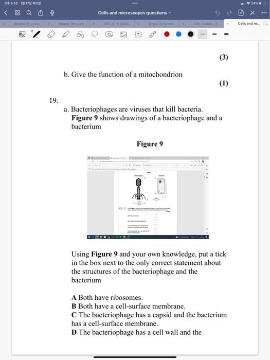 Solved Cells and microscopes questions 1. Uronema marinum is | Chegg.com