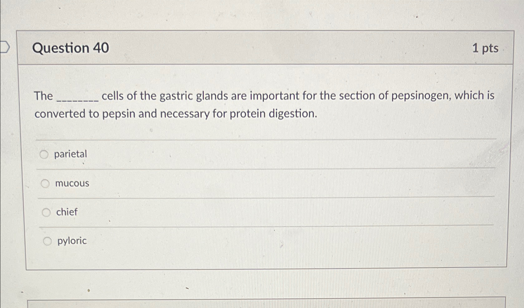 Solved Question 401ptsThe q, ﻿cells of the gastric glands | Chegg.com