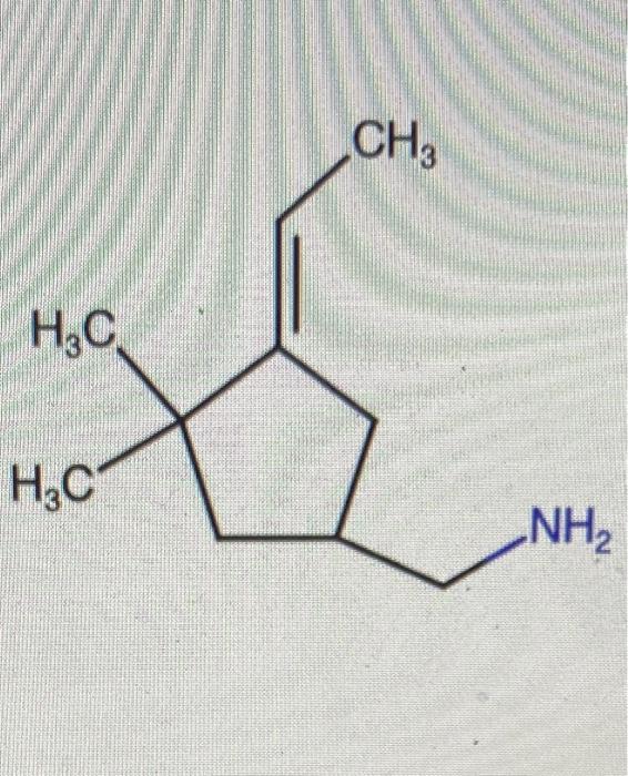 Solved CHз Н.С. H,C NH2 | Chegg.com