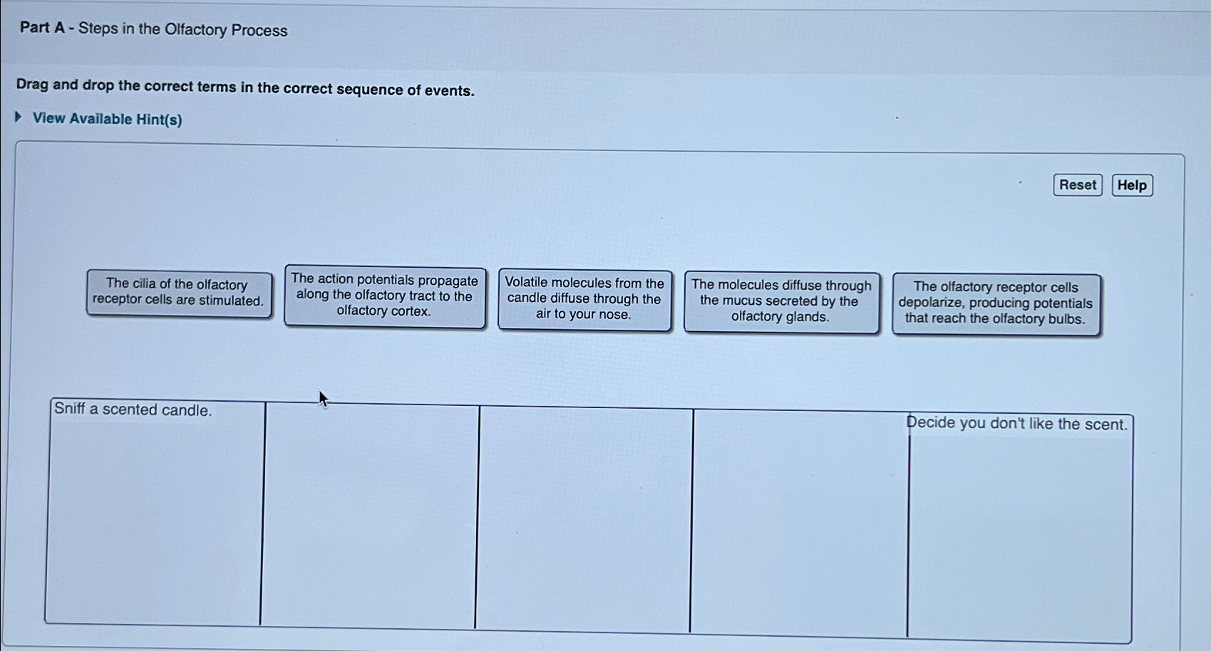 Solved Part A - ﻿Steps in the Olfactory ProcessDrag and drop | Chegg.com