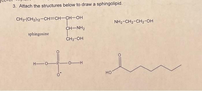 Solved 3. Attach the structures below to draw a | Chegg.com