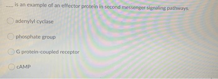 Solved is an example of an effector protein in second | Chegg.com