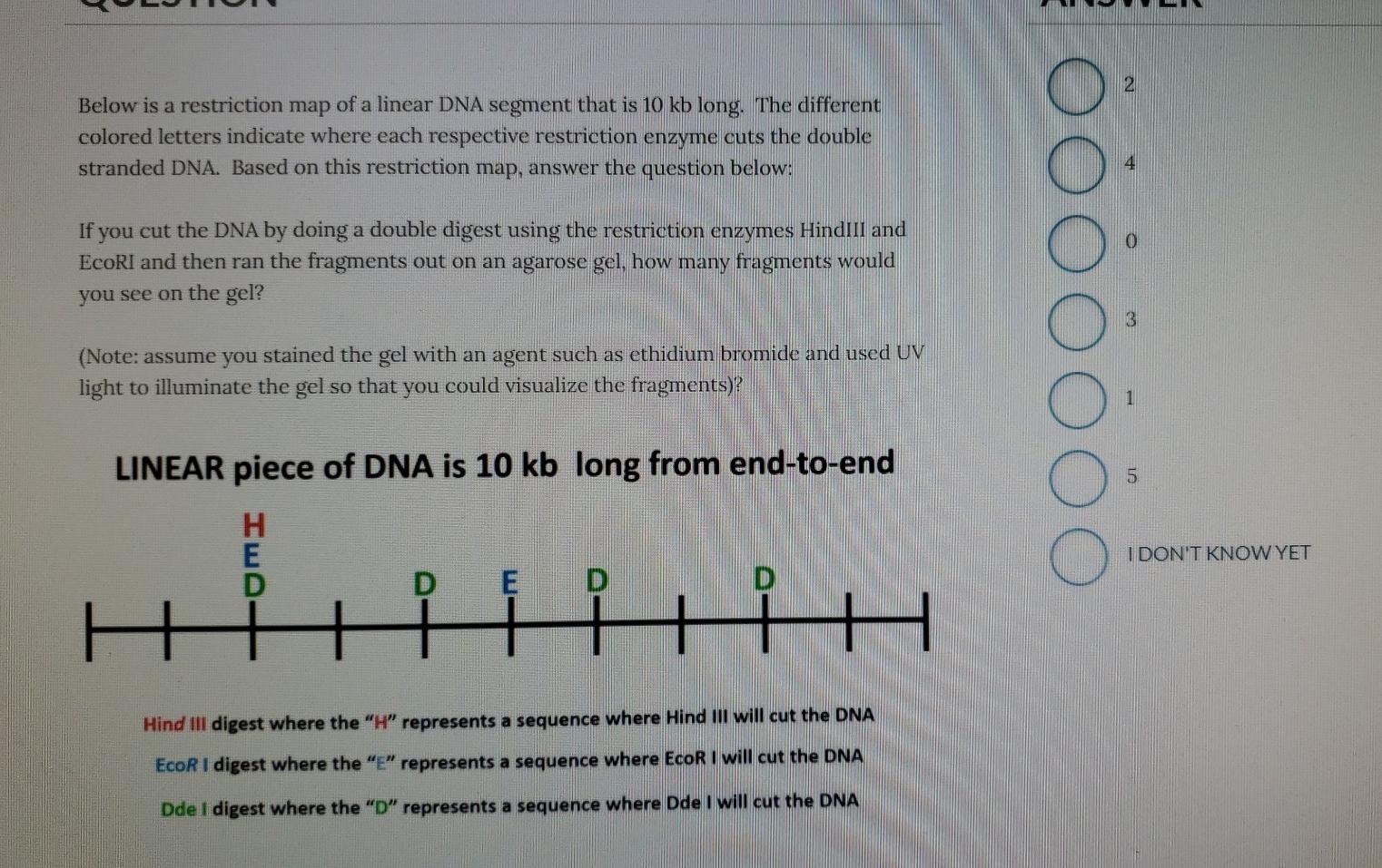Solved 2 Below is a restriction map of a linear DNA segment | Chegg.com