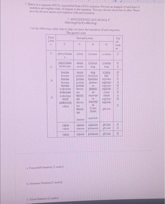 Solved Below is a segment of RNA, transcribed from a DNA | Chegg.com