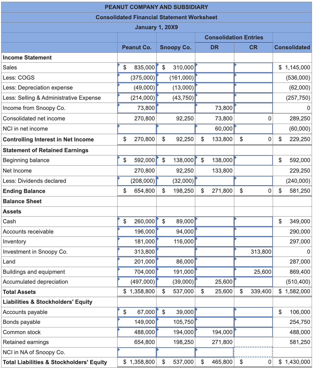 Solved CALCULATE NCI AND NCI IN NET INCOME Peanut Company | Chegg.com