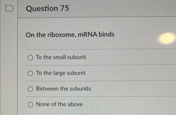 Solved On the ribosome, mRNA binds To the small subunit To | Chegg.com