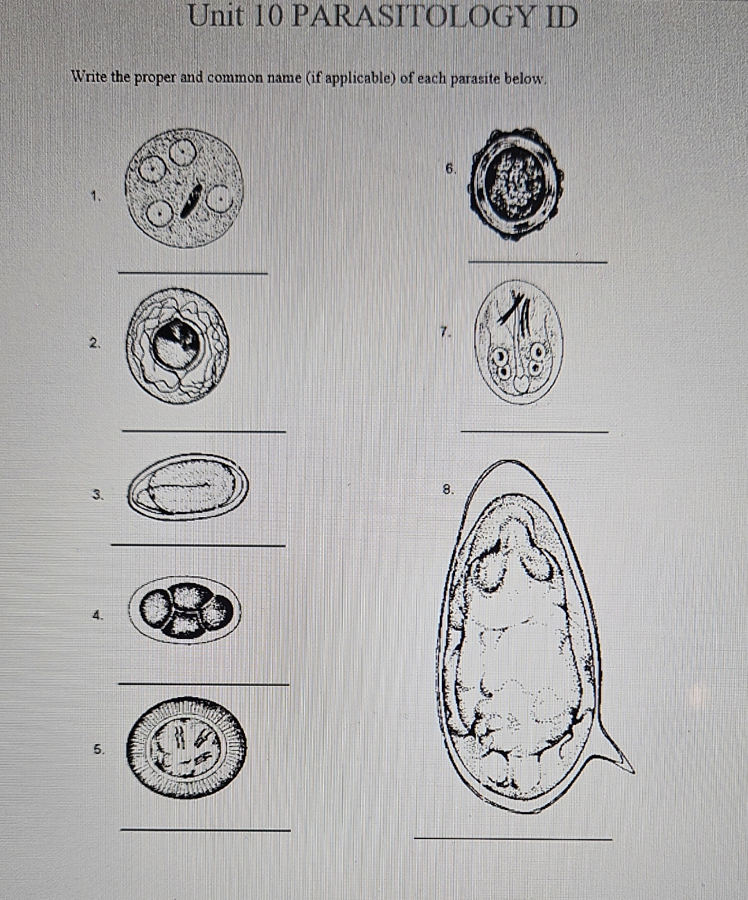 Unit 10 ﻿PARASITOLOGY IDWrite the proper and common | Chegg.com