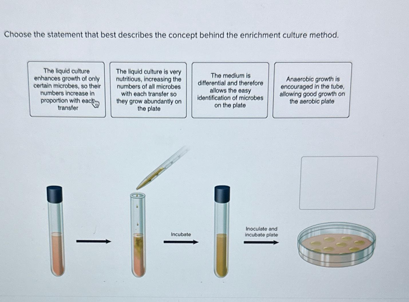 Solved Choose the statement that best describes the concept | Chegg.com