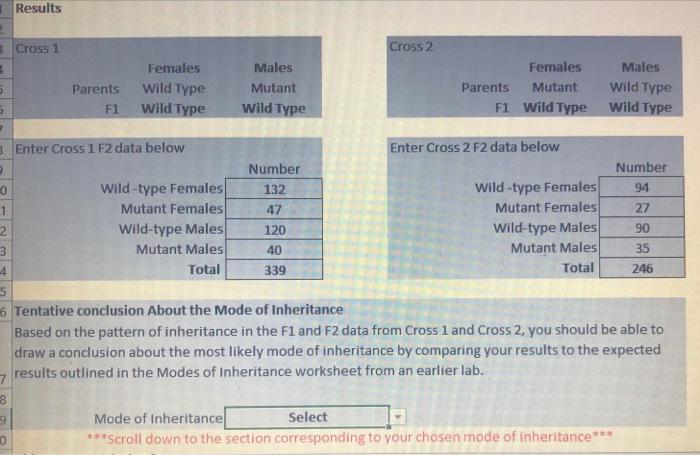 Solved based on the pattern of inheritance in the F1 and F2 | Chegg.com