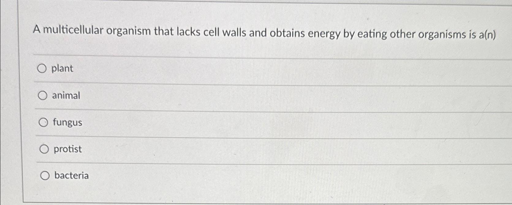 Solved A multicellular organism that lacks cell walls and | Chegg.com