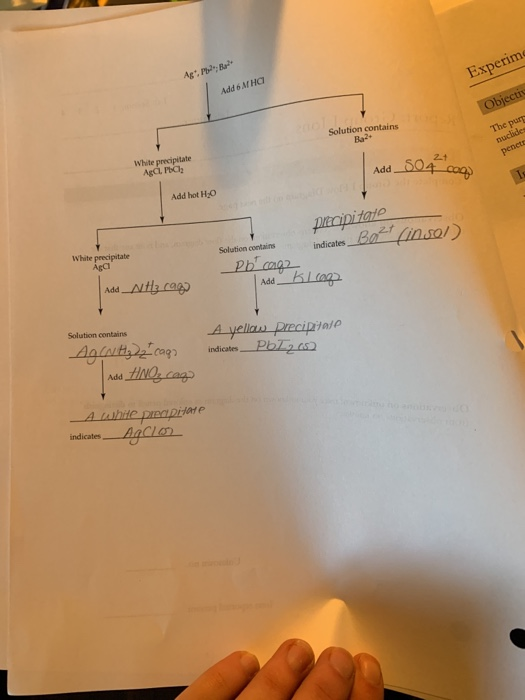 Solved Lab Section: 1 Prelab: Inorganic Group I Ions 1. On | Chegg.com