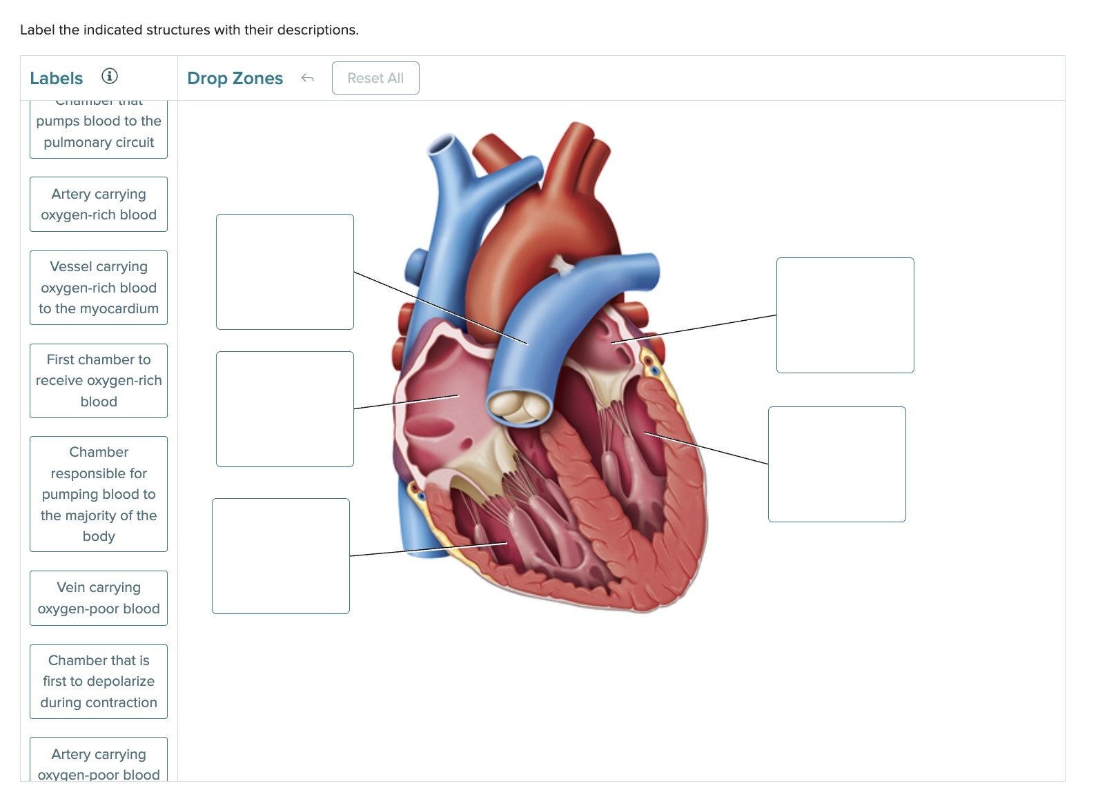 Solved Label the indicated structures with their | Chegg.com