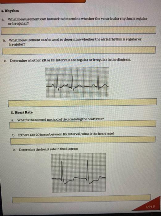 Solved 4. Rhythm a. What measurement can be used to | Chegg.com