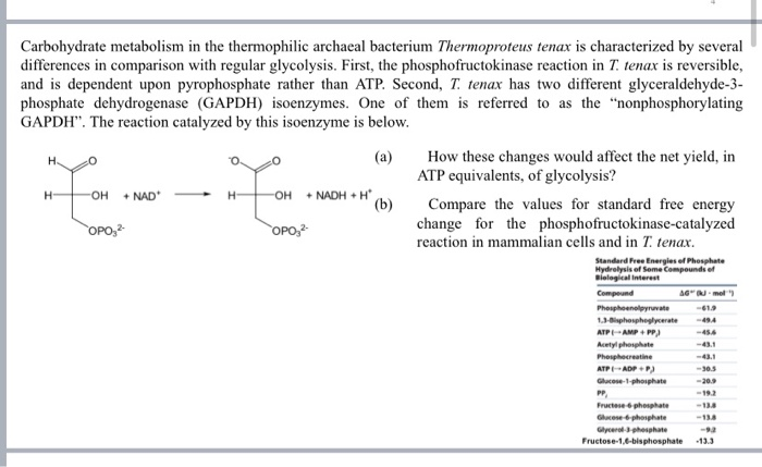 Solved Carbohydrate metabolism in the thermophilic archaeal | Chegg.com
