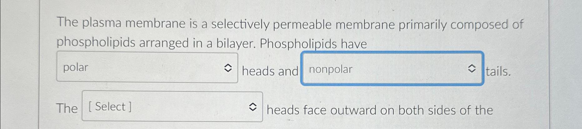 Solved The plasma membrane is a selectively permeable | Chegg.com