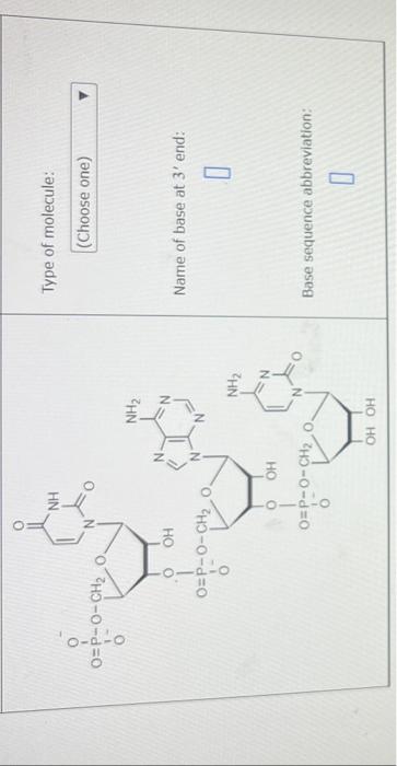 Solved - Classify the molecule using the drop-down list. - | Chegg.com
