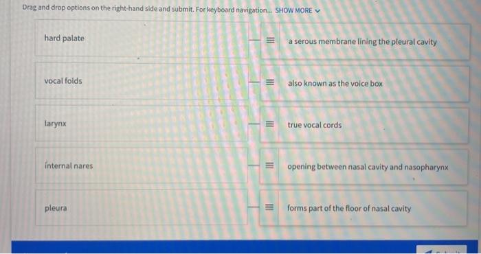 Solved Drag and drop options on the right-hand side and | Chegg.com