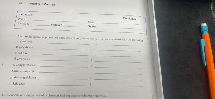 Solved 32 Invertebrate Zoology Protozoa Name: Course | Chegg.com