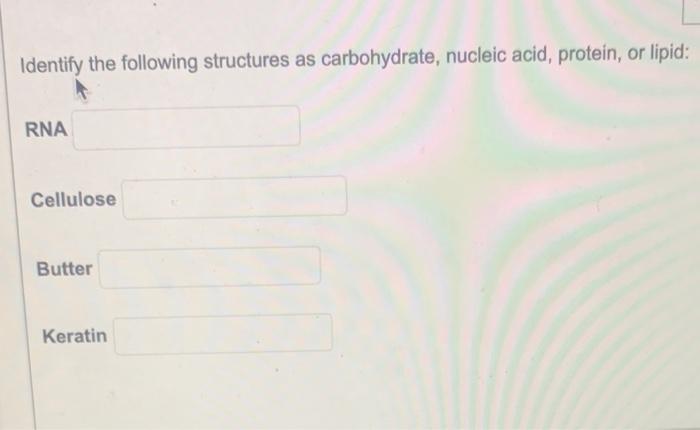 Solved Identify the following structures as carbohydrate, | Chegg.com
