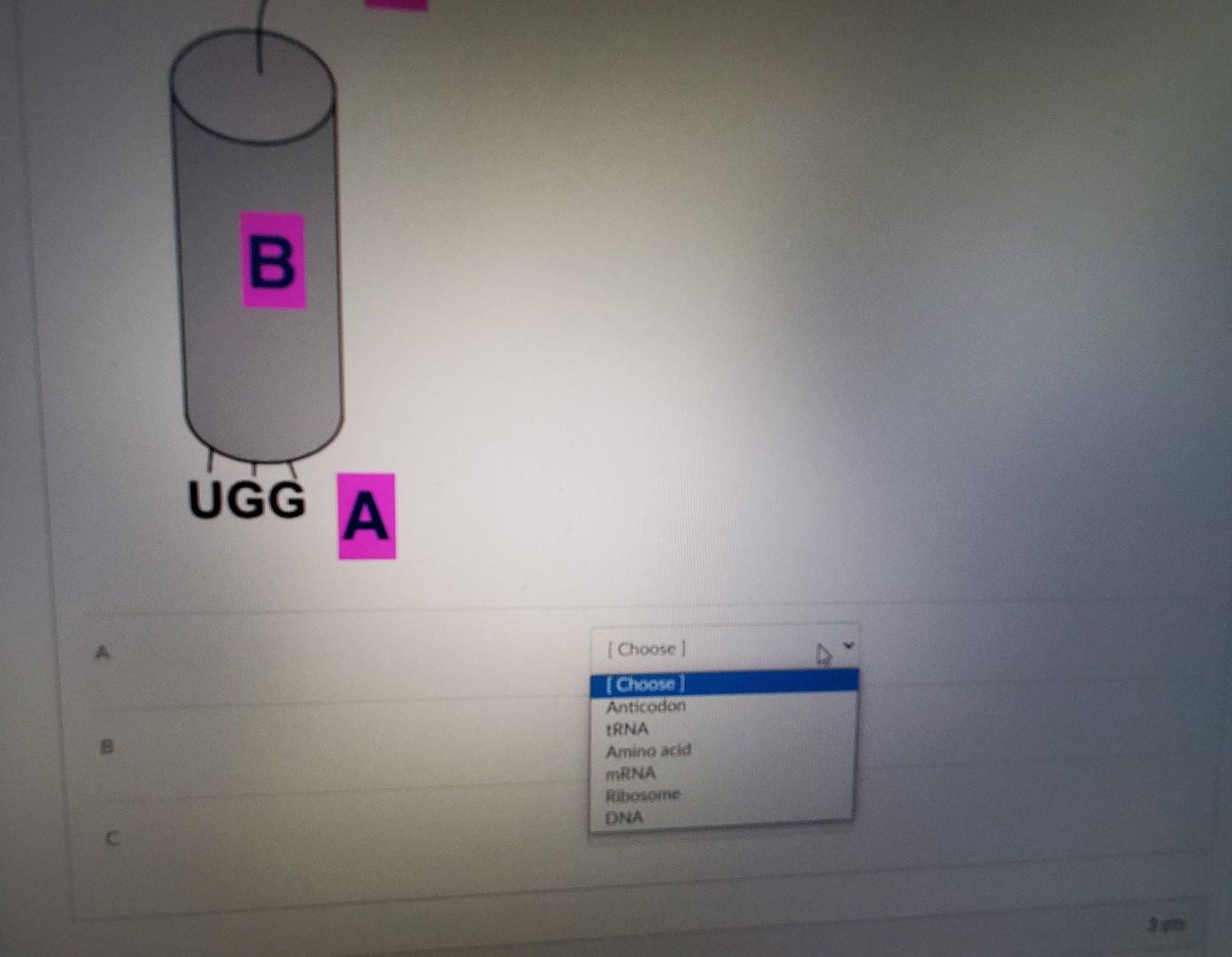 q 43 I need help | Chegg.com