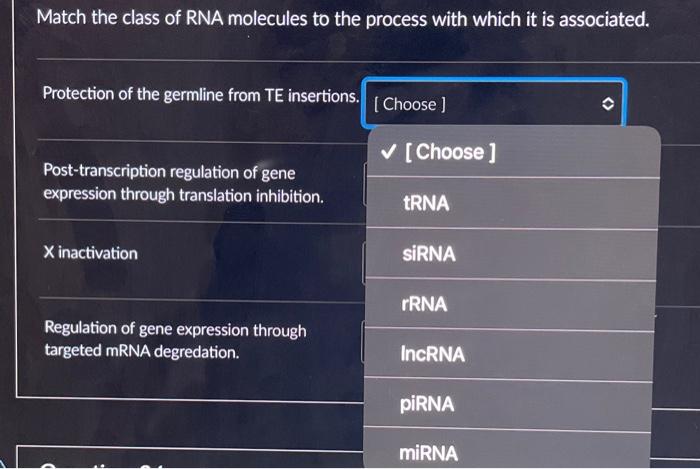 Solved Match the class of RNA molecules to the process with | Chegg.com