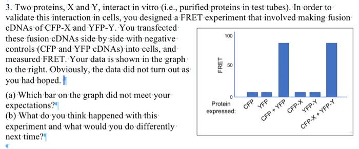 Solved Two proteins, X and Y, interact in vitro (i.e., | Chegg.com