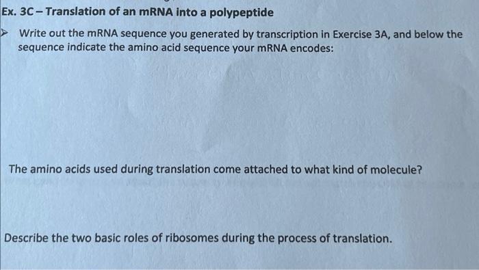 Solved Ex. 3C-Translation of an mRNA into a polypeptide | Chegg.com
