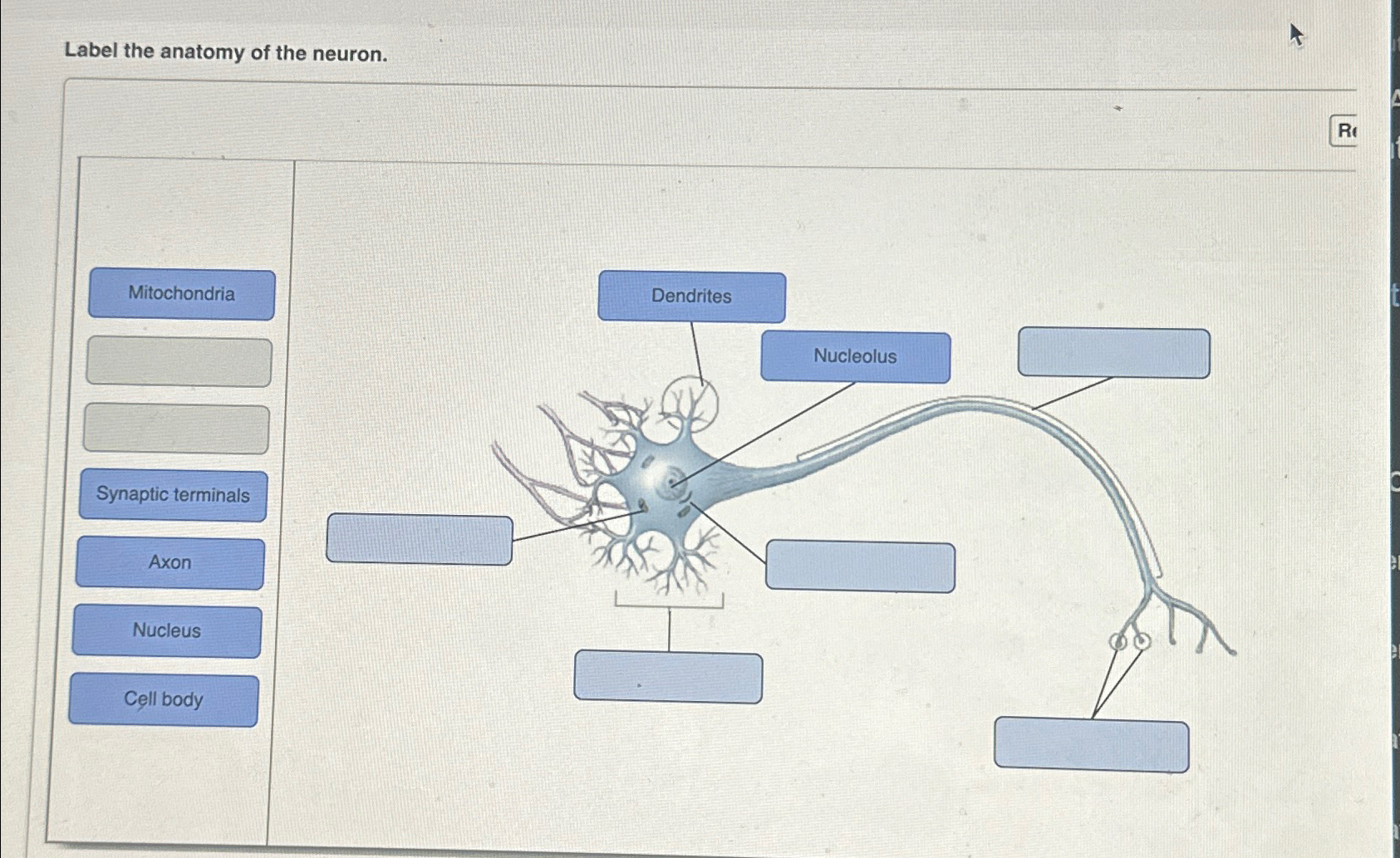 Solved Label the anatomy of the neuron. | Chegg.com