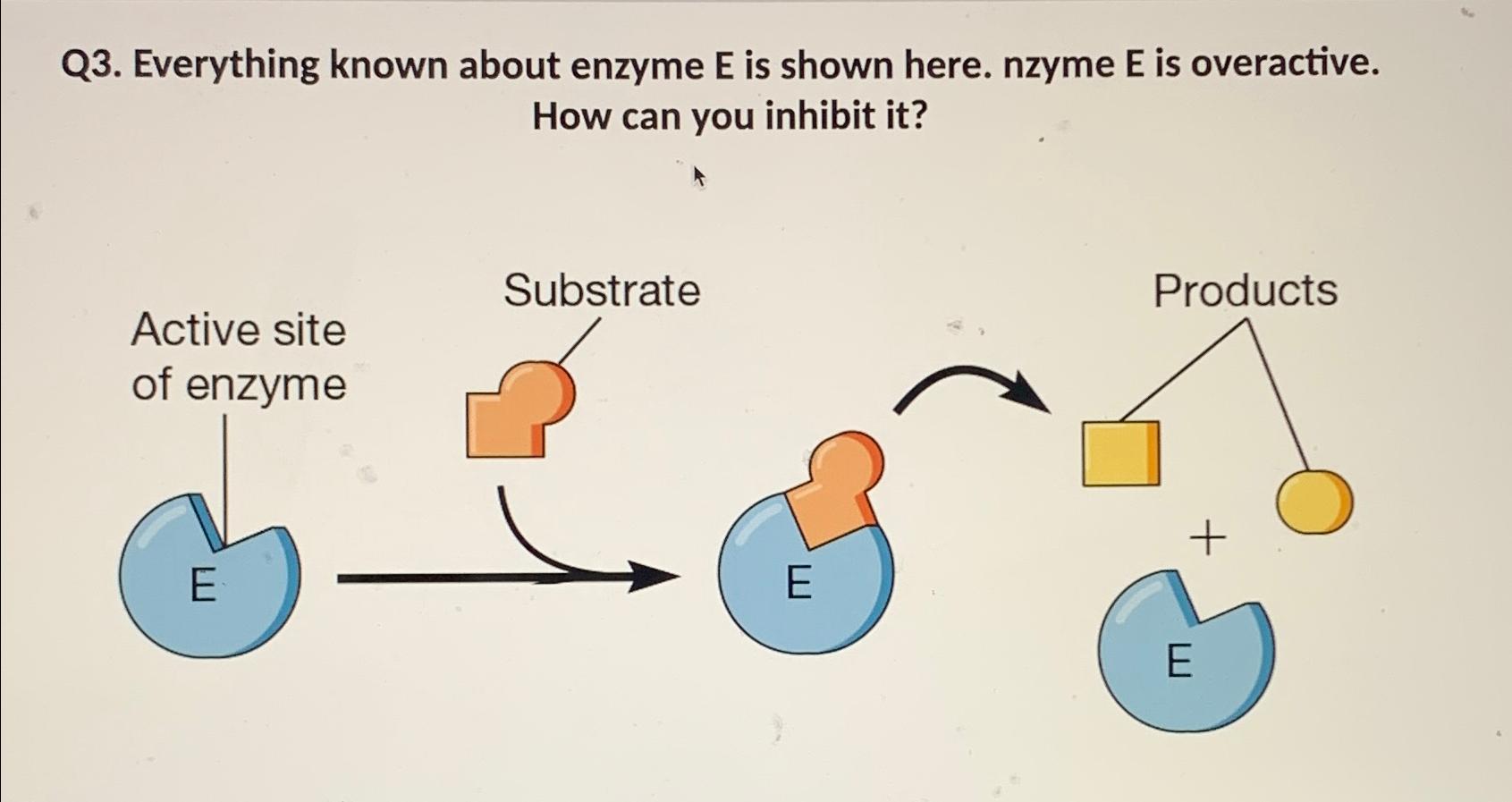 Solved Q3. ﻿Everything known about enzyme E ﻿is shown here. | Chegg.com