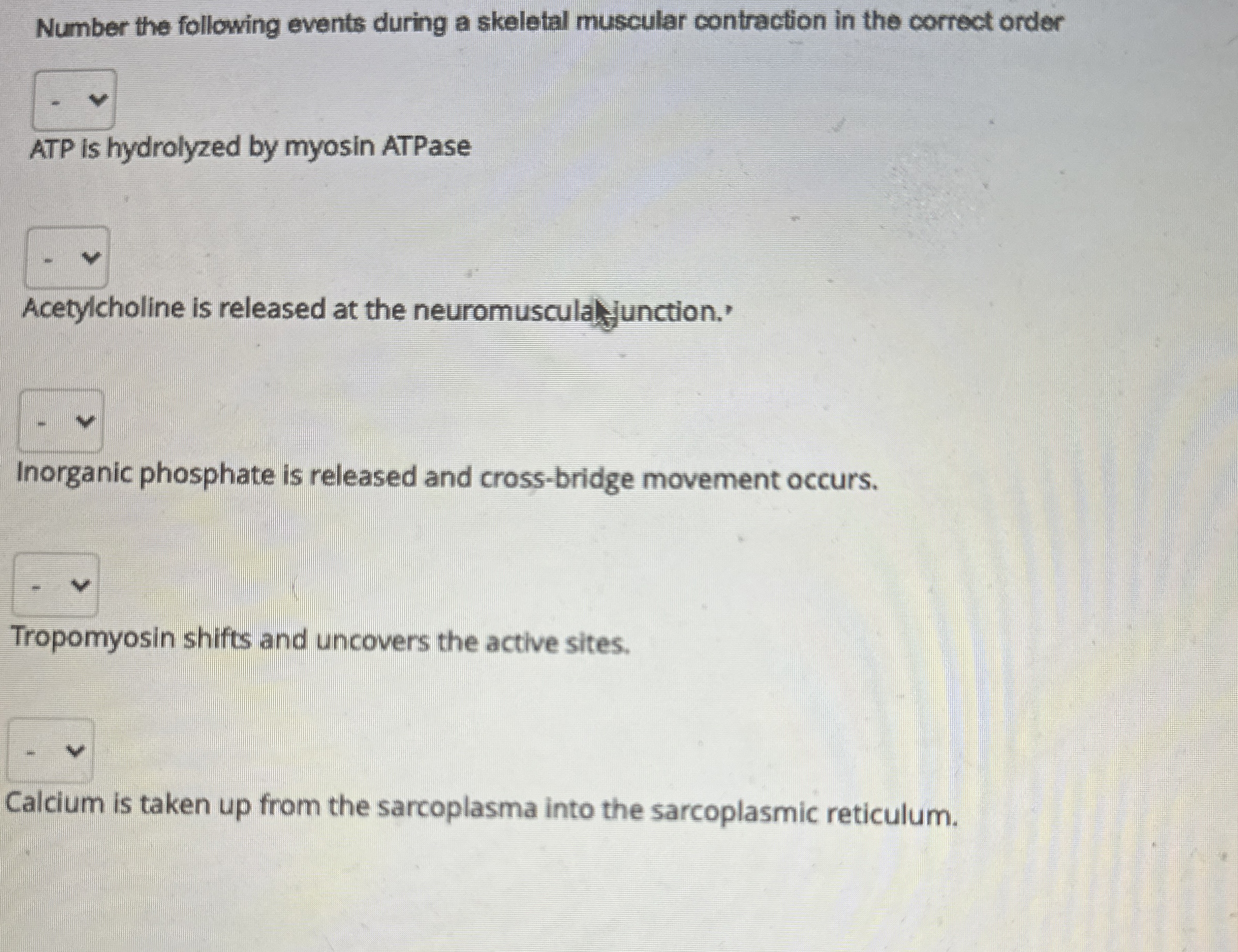 Solved Number the following events during a skeletal | Chegg.com