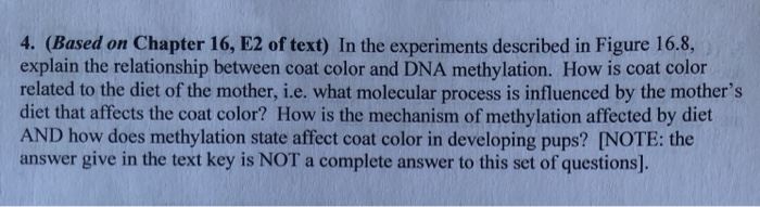 Solved 4. (Based on Chapter 16, E2 of text) In the | Chegg.com
