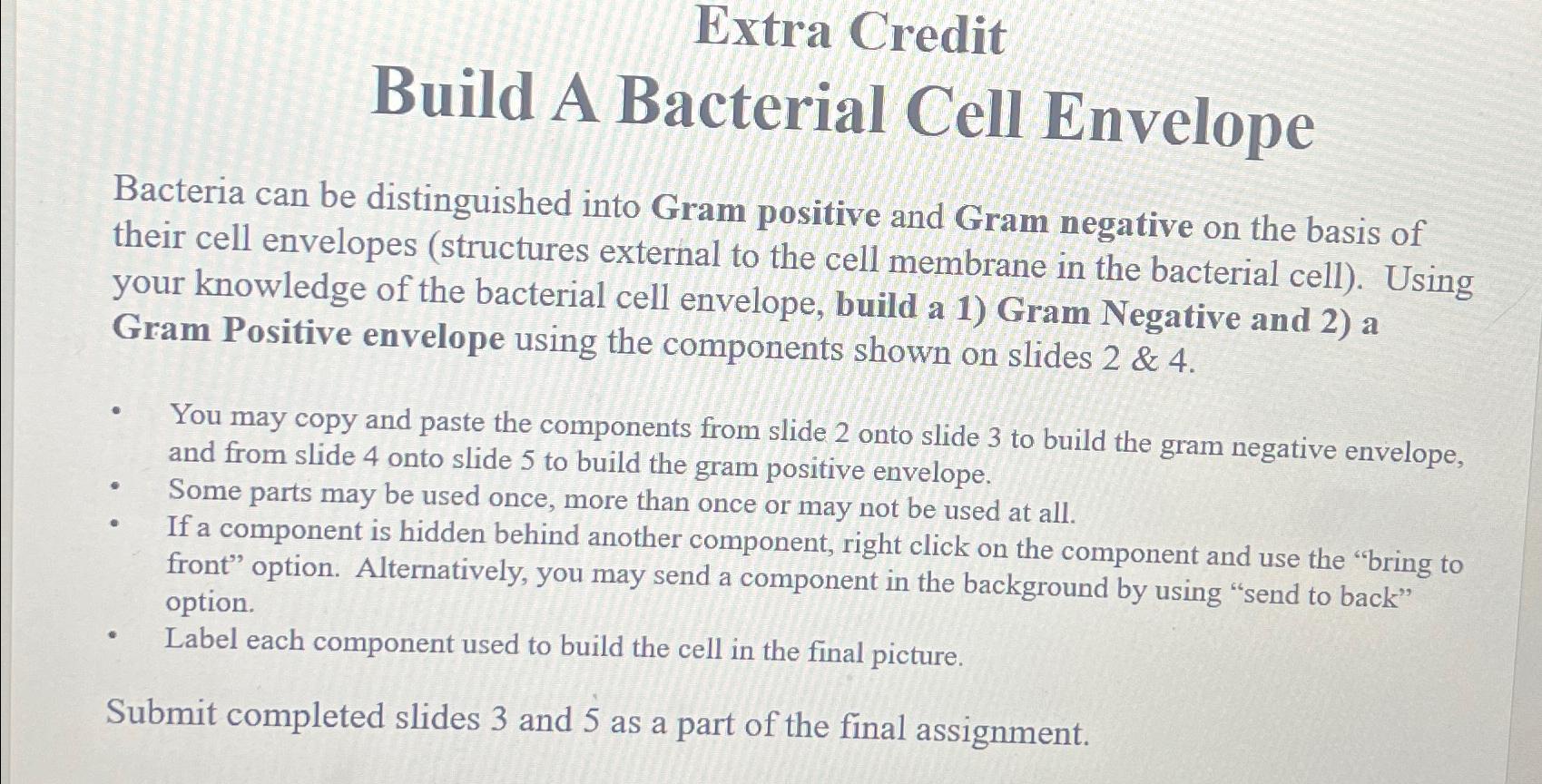 Solved Extra CreditBuild A Bacterial Cell EnvelopeBacteria | Chegg.com