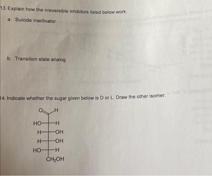 Solved 13. Explain how the irreversible inhibitors listed | Chegg.com