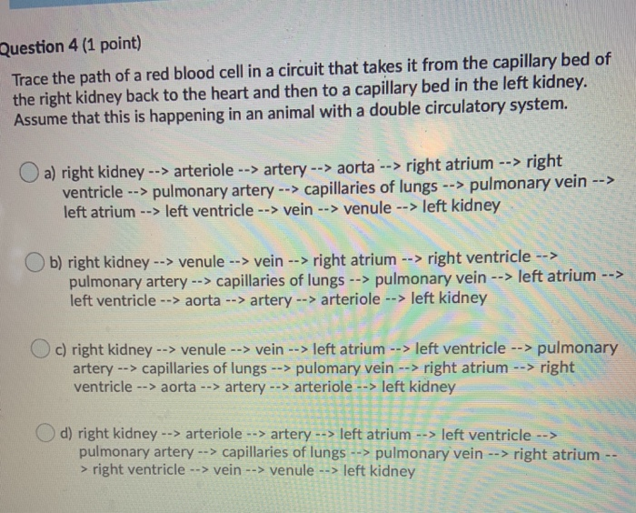 Solved Question 4 (1 point) Trace the path of a red blood | Chegg.com