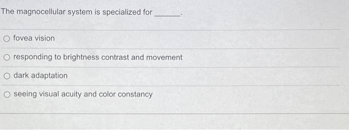 Solved The magnocellular system is specialized for o fovea | Chegg.com